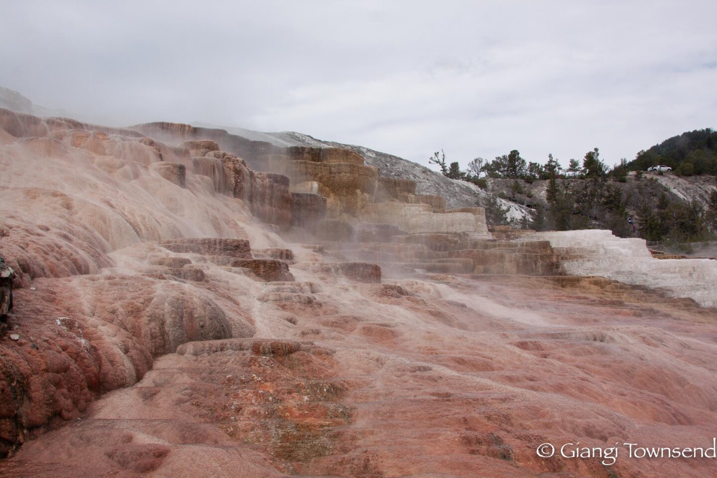 Yellowstone National Park - Giangi