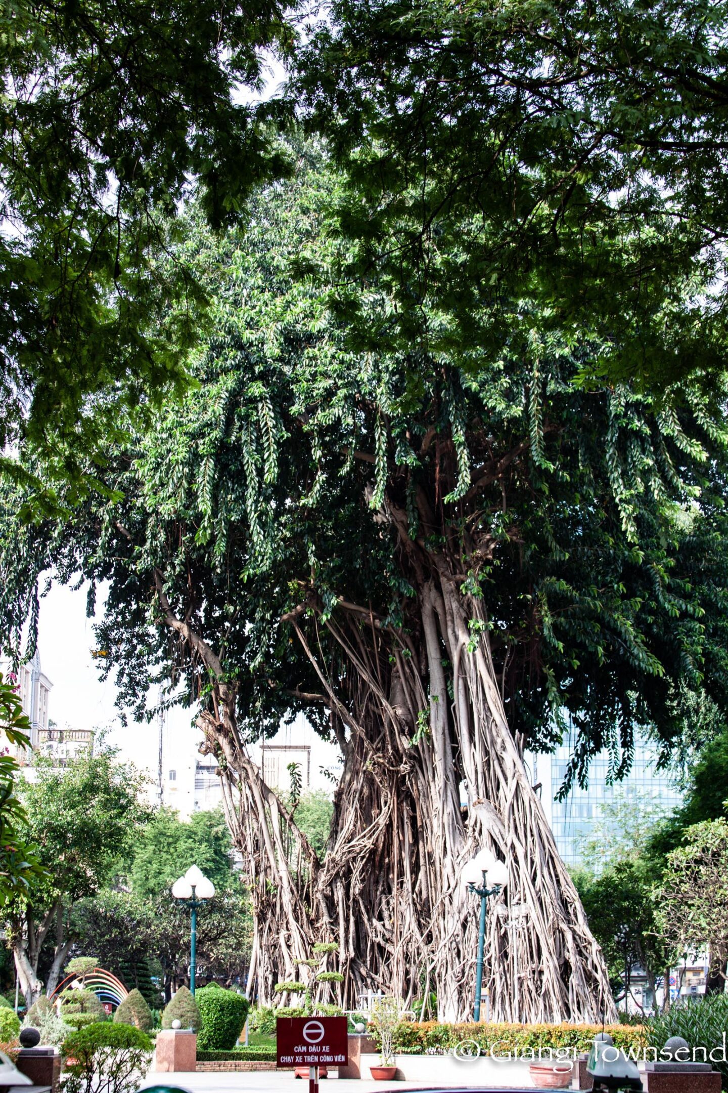 We Really Enjoy Vietnam - Giangi